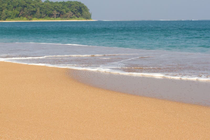 Beach Line Indian Ocean. Sand, Tree, Forest. Clean Lagoon Stock Image ...