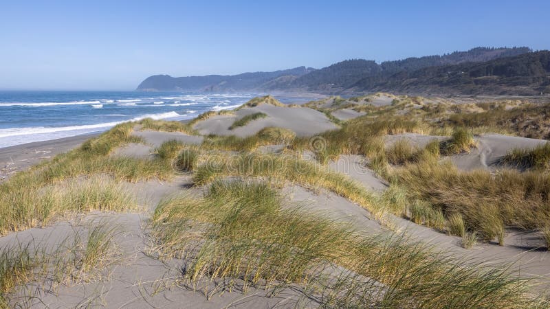 A Beach with a Lot of Sand and Grass Stock Photo - Image of coast, view ...