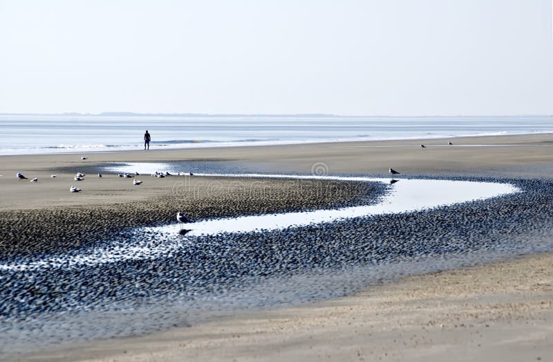 Beach at Low Tide stock image. Image of south, wading - 1704703