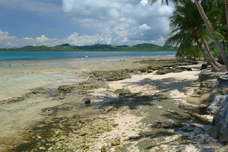 Beach at low tide stock photo. Image of outflow, landscape - 96280758