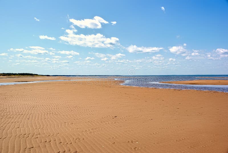 Beach with Low Tide stock photo. Image of landscapes - 189529450