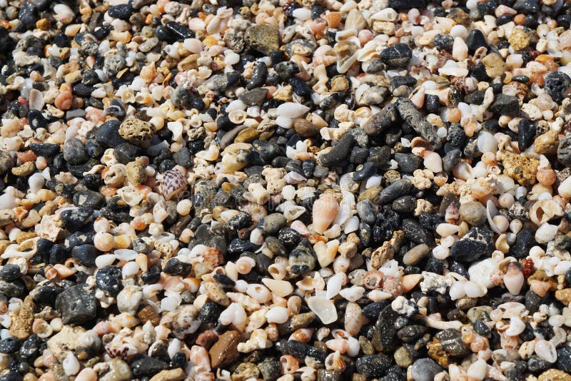 Beach Made of of Millions of Tiny Seashells and Black Rocks in Crete ...