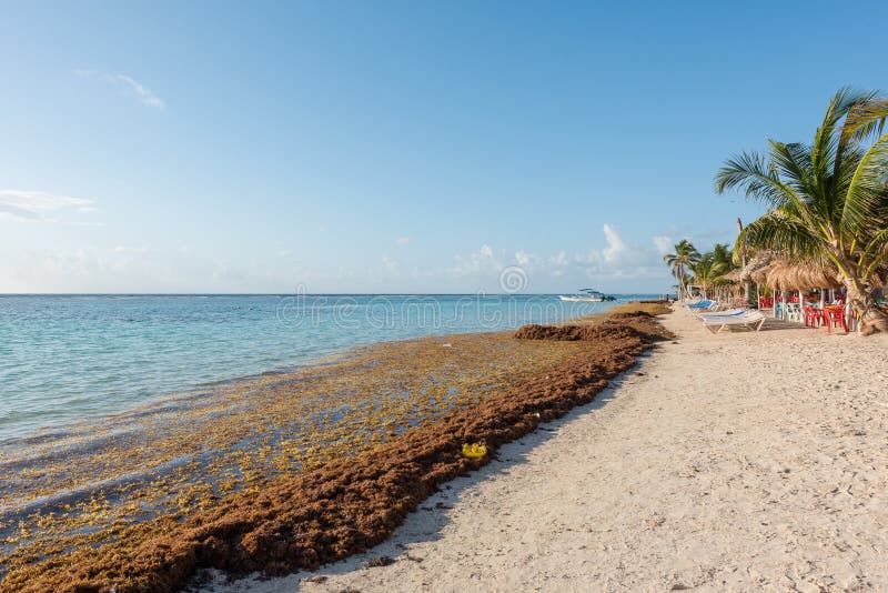 The Beach in Mahahual, Mexico Stock Photo - Image of mexico, coastline ...