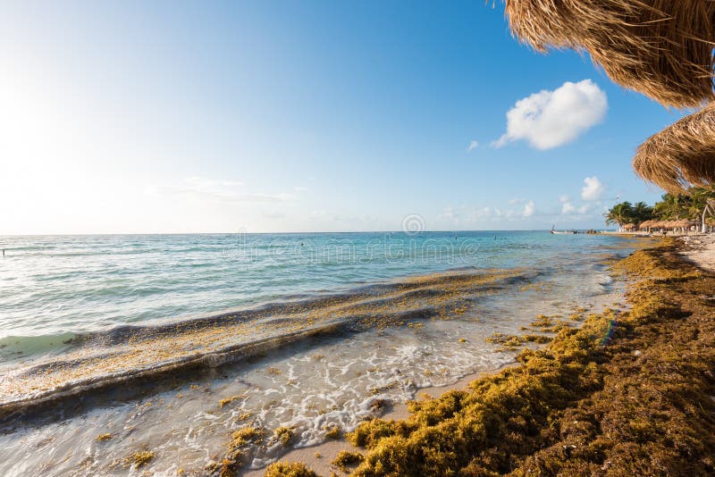 The Beach in Mahahual, Mexico Stock Photo - Image of ocean, mahahual ...