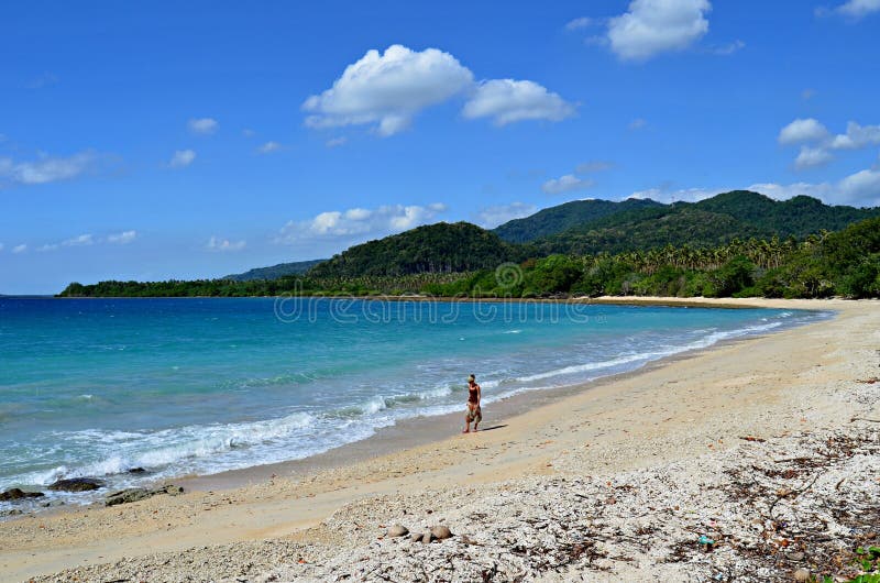Beach in Malekula Island, Vanuatu Editorial Stock Image - Image of ...
