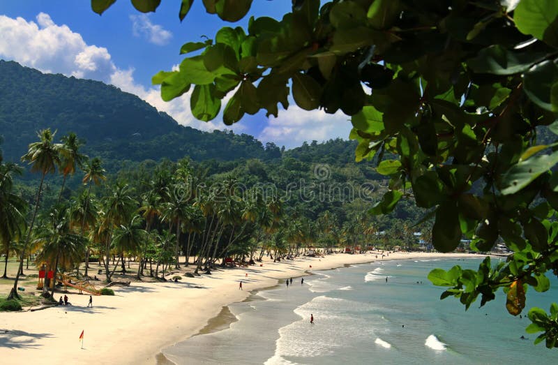 Beach of the Maracas Bay, Trinidad Stock Image - Image of paradise ...