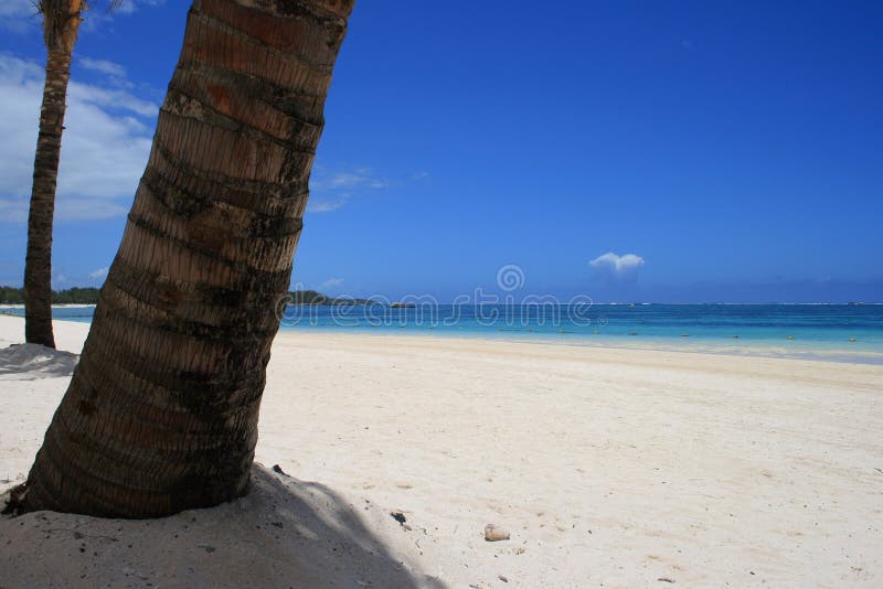 Beach Mauritius stock photo. Image of africa, sand, negative - 88598694