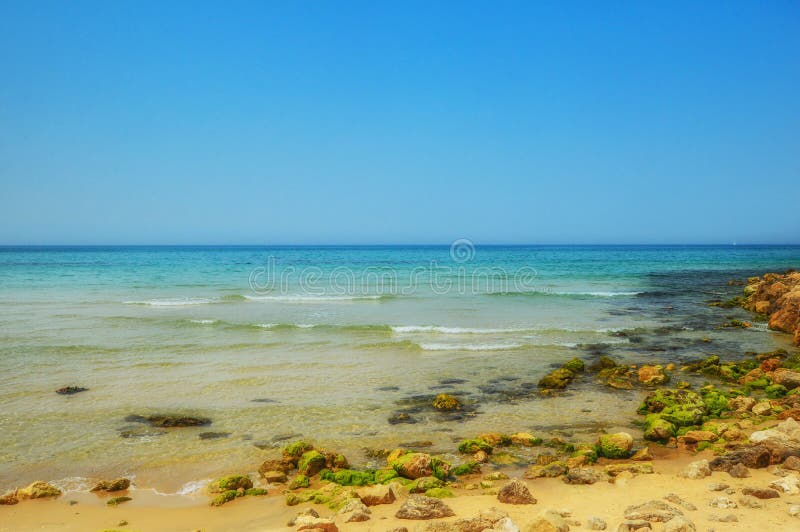 Beach in the Mediterranean Sea, Tel Aviv, Israel. Stock Image - Image ...