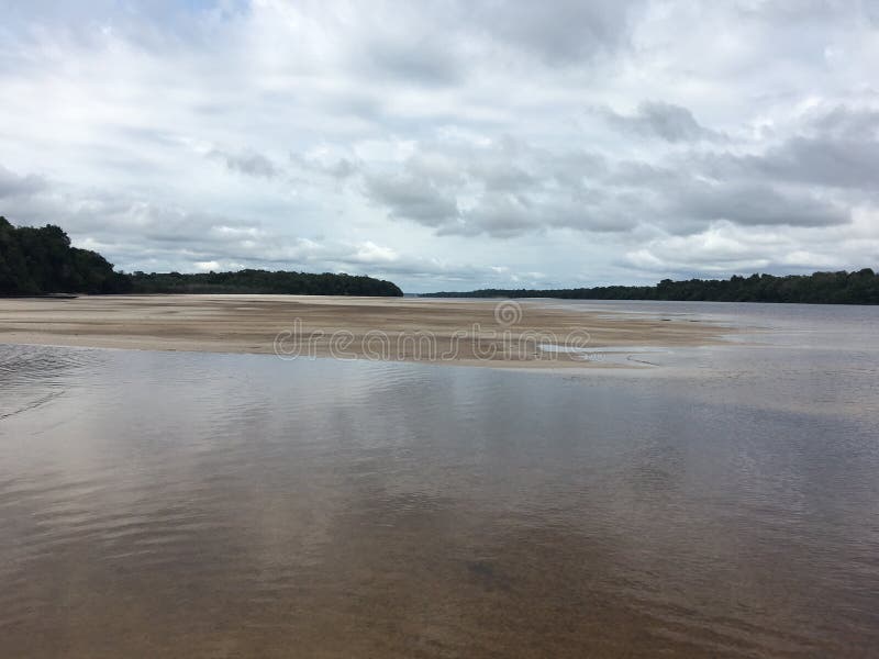 Beach stock image. Image of beach, river, rainforest - 82832503