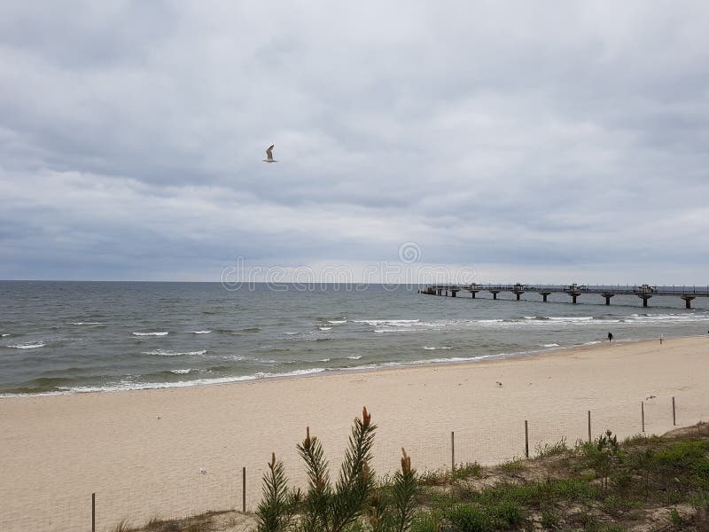 Beach in Misdroy stock photo. Image of sand, horizon - 260363364