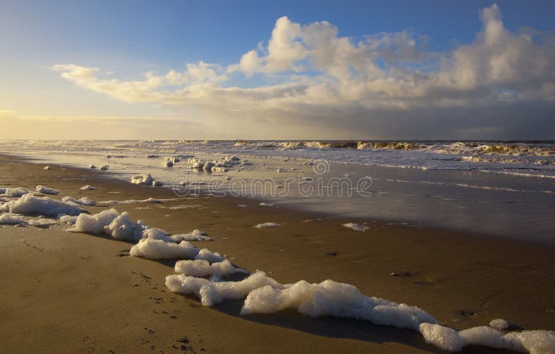 Beach at Monster in Holland Stock Photo - Image of monster, holland ...