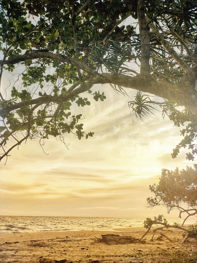 Beach in the Morning stock image. Image of sunrise, morning - 200981733