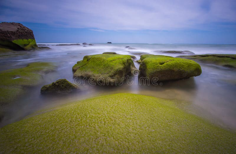 Beach mossy stone stock image. Image of rock, stone, beach - 78868707