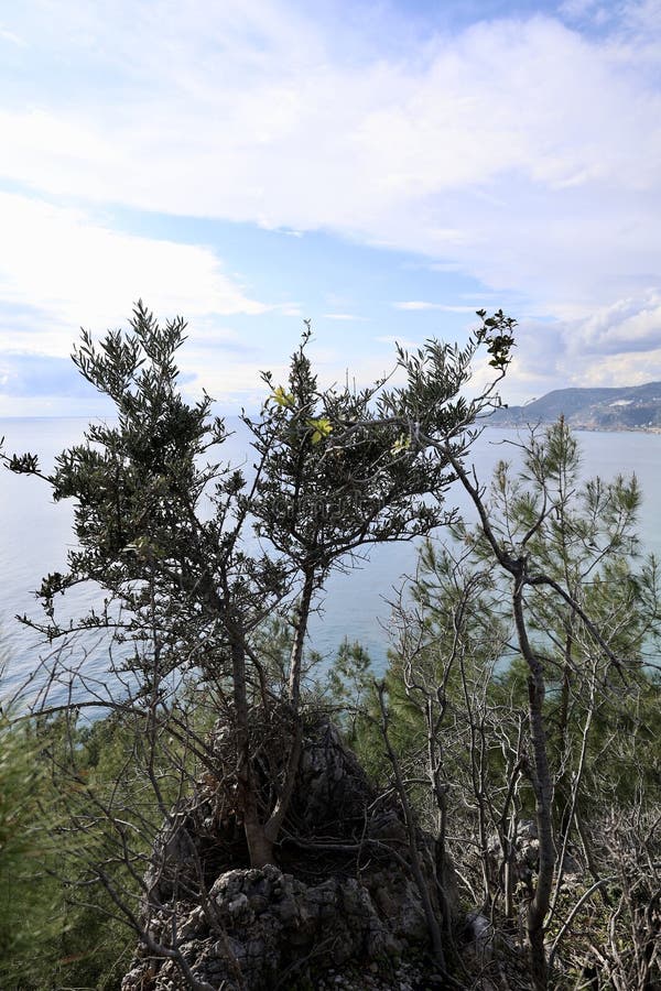 Beach mountain town stock image. Image of beautiful - 370375159