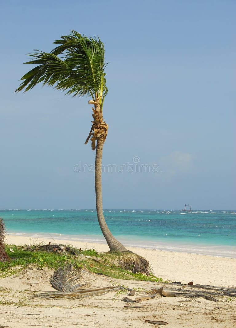 Dreams Punta Cana Adult Stock Photos - Free & Royalty-Free Stock Photos ...
