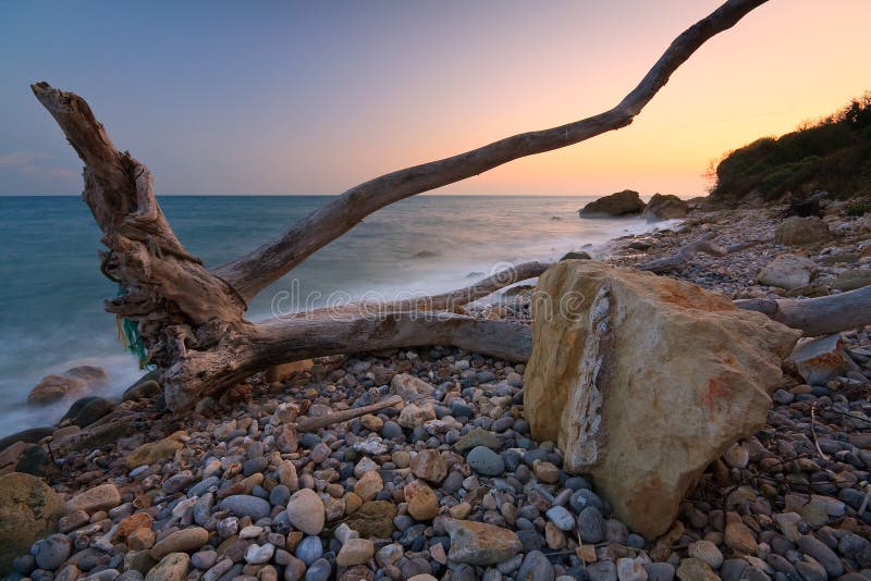 Beach near Lyme Regis. stock image. Image of jurassic - 47438251