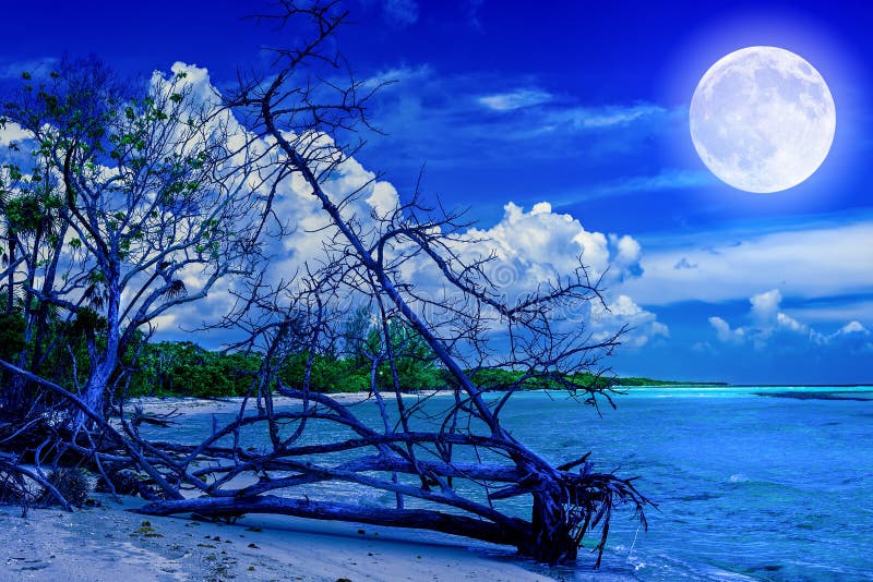 Beach at Night with a Full Moon Stock Image - Image of background ...