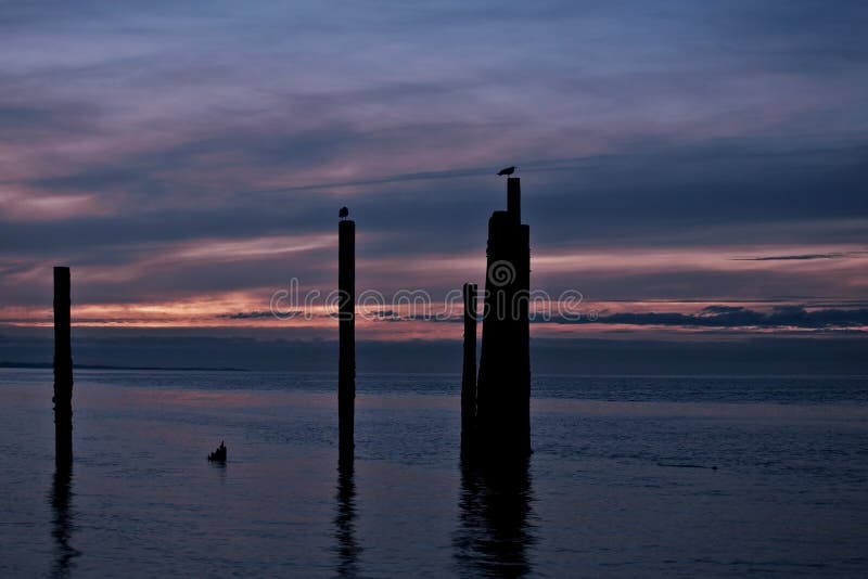 Beach at night-horizontal stock image. Image of wilderness - 2557447