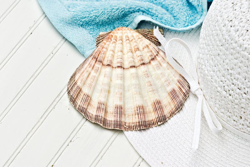 Beach objects stock image. Image of blue, peace, resort - 9825571