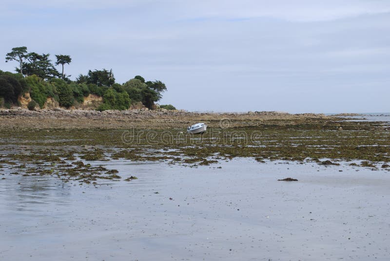 Beach after Ocean Low Tide. Stock Photo - Image of water, coast: 76639894