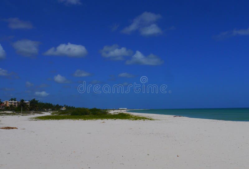 Beach and Ocean Panoramic Sisal Mexico Stock Image - Image of sunshine ...