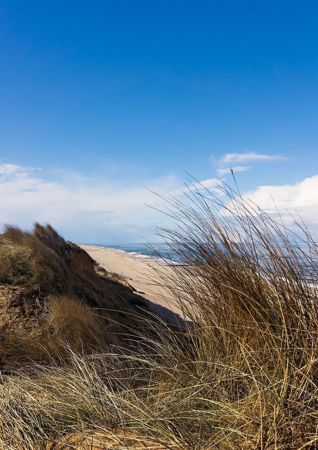 Beach and Ocean - Sylt, Germany Stock Image - Image of location, summer ...