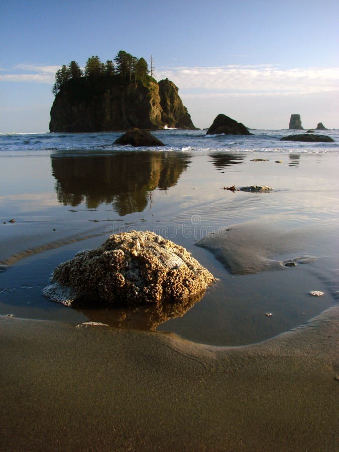 Beach, Olympic National Park Stock Photo - Image of park, america: 3400966