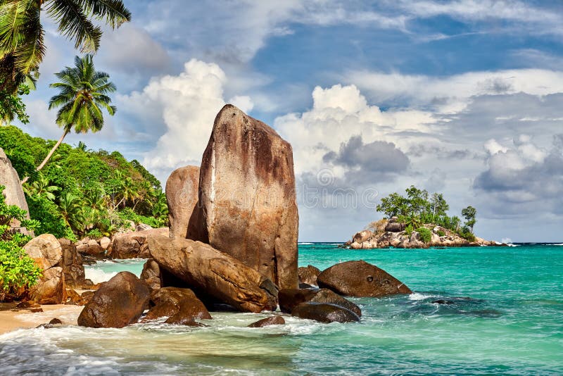 Beach with Palm Tree and Rocks Landscape Stock Image - Image of ...