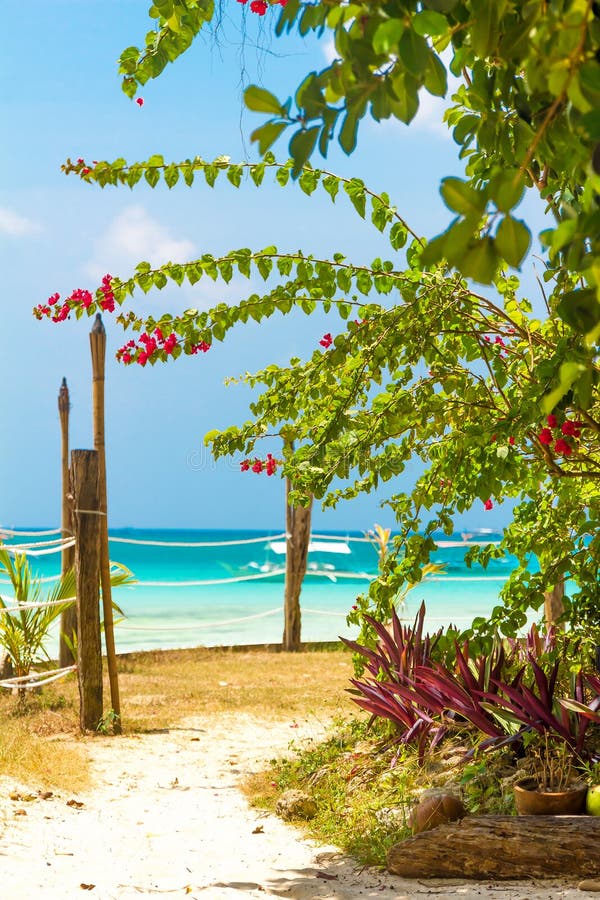 Beach with Palm Trees and Beach Beds, Summer Vacations Stock Photo ...