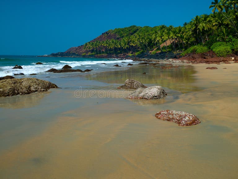 Beach with palm trees stock image. Image of beauty, idyllic - 32296929