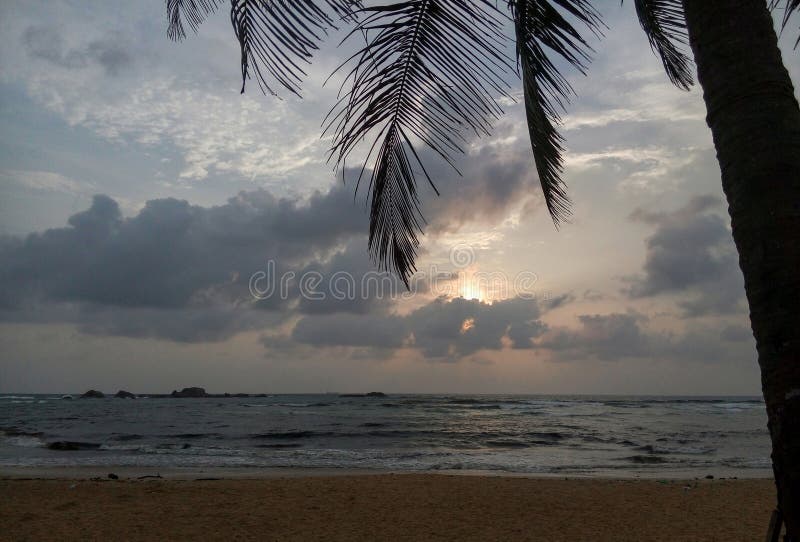 A Beach with Palm Trees and Ocean at Night Stock Photo - Image of ...