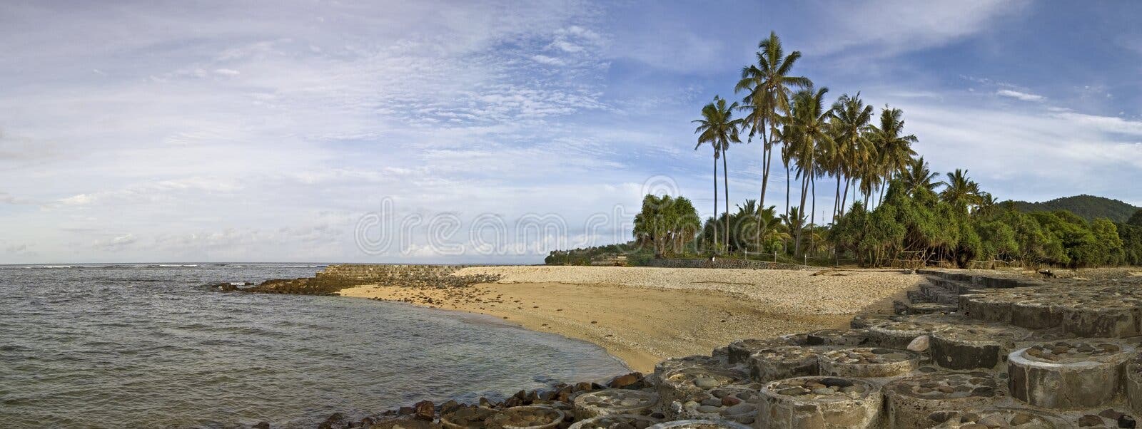 Jungle Beach stock photo. Image of america, suriname, sand - 5058452