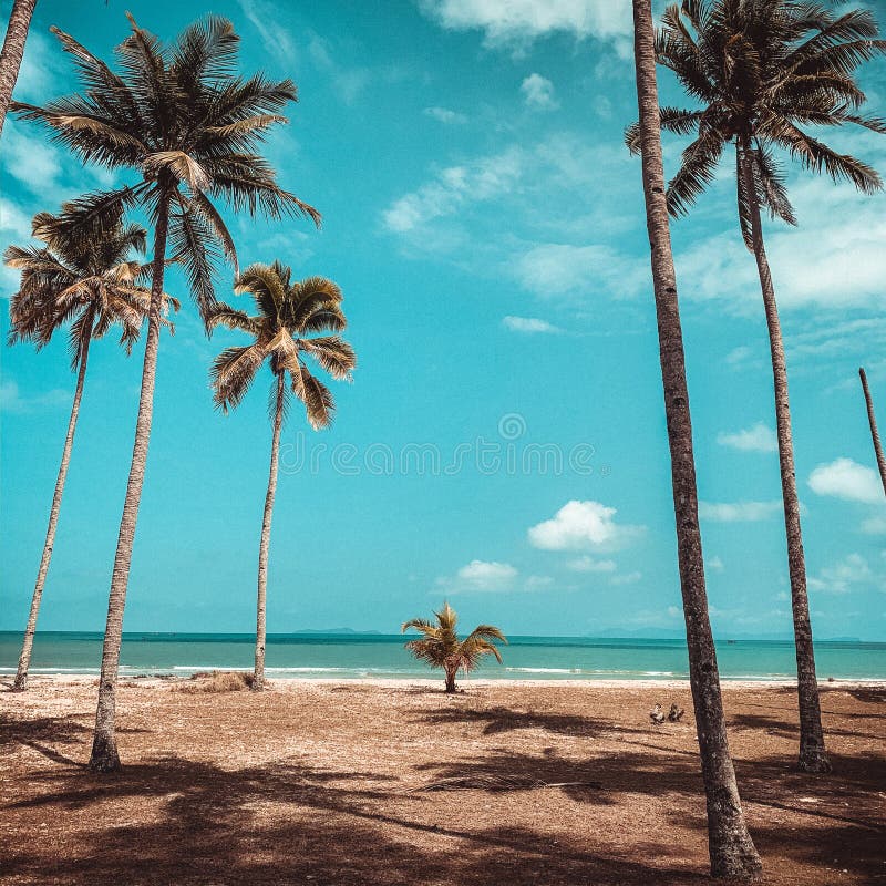 Beach at Pantai Mangkok stock photo. Image of view, pantai - 185842000