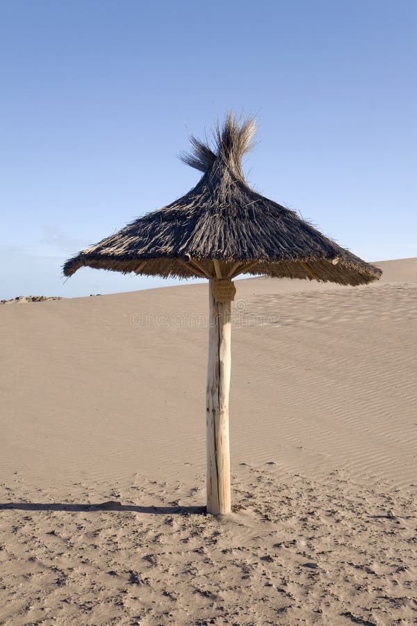 BEACH PARASOL Picture. Image: 3564453