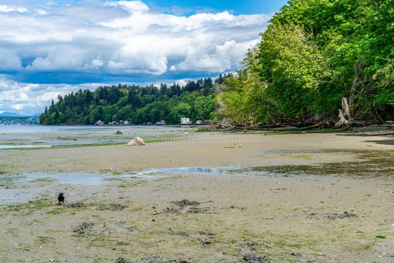 Beach Park Landscape 5 stock photo. Image of landscape - 319809930