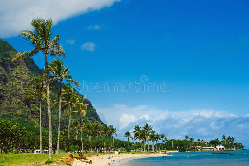 Beach Park Seaside View with Palm Trees Stock Image - Image of mountain ...