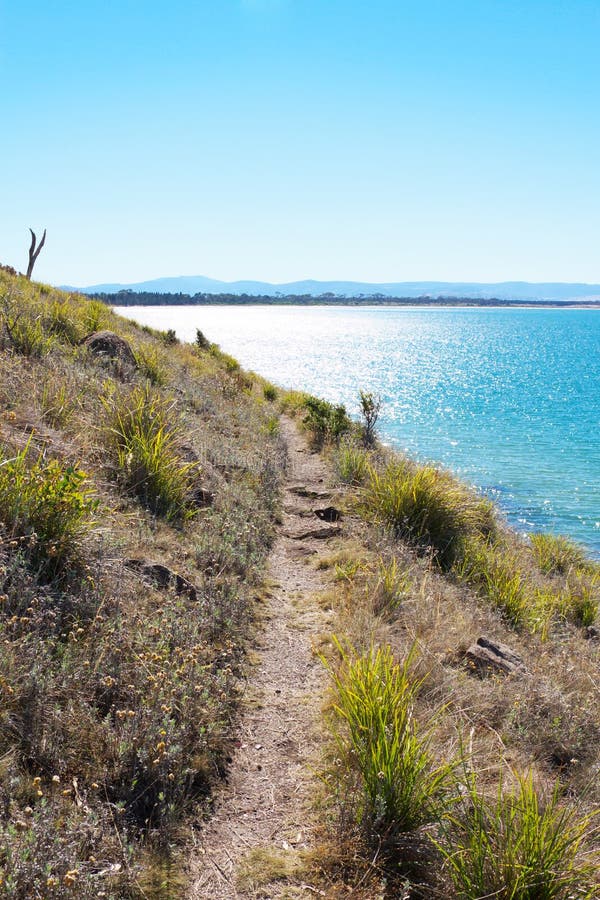 Beach path stock photo. Image of distant, tropical, beach - 6343630