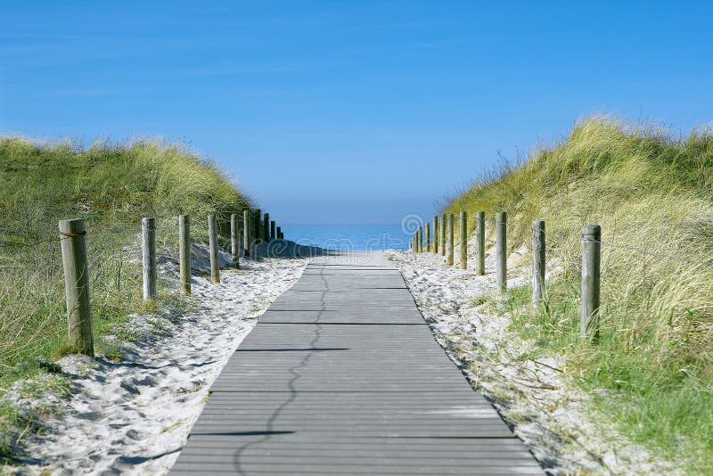 Beautiful Beach Path Scene with Sea Oats Stock Image - Image of ...