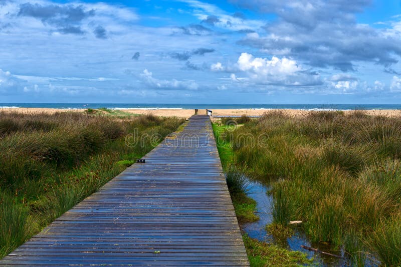 Beach path stock image. Image of fence, pavement, deserted - 19597291