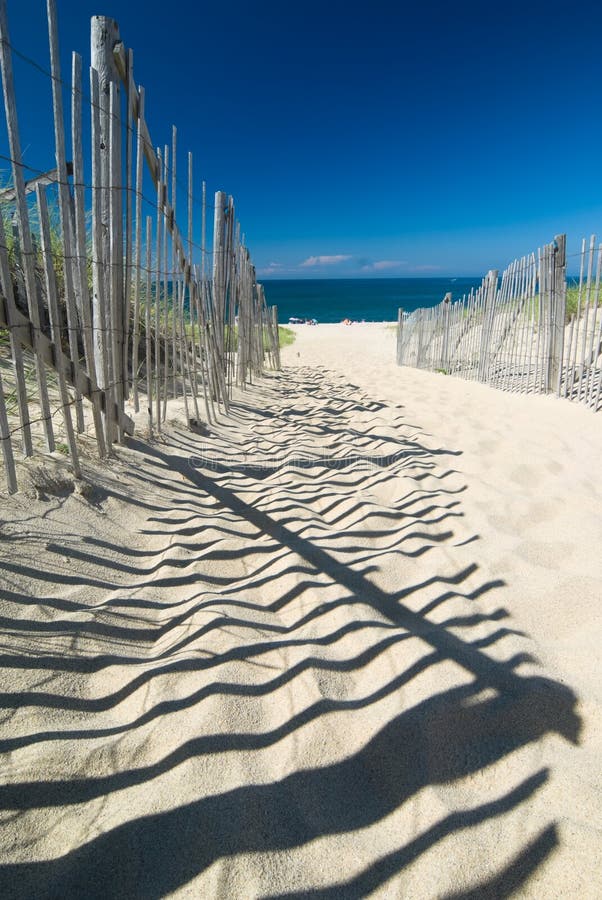 Beach path stock photo. Image of distant, tropical, beach - 6343630