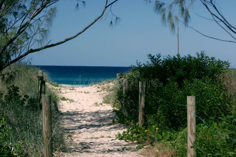 Beach Path stock image. Image of blue, trees, sand, aqua - 99427