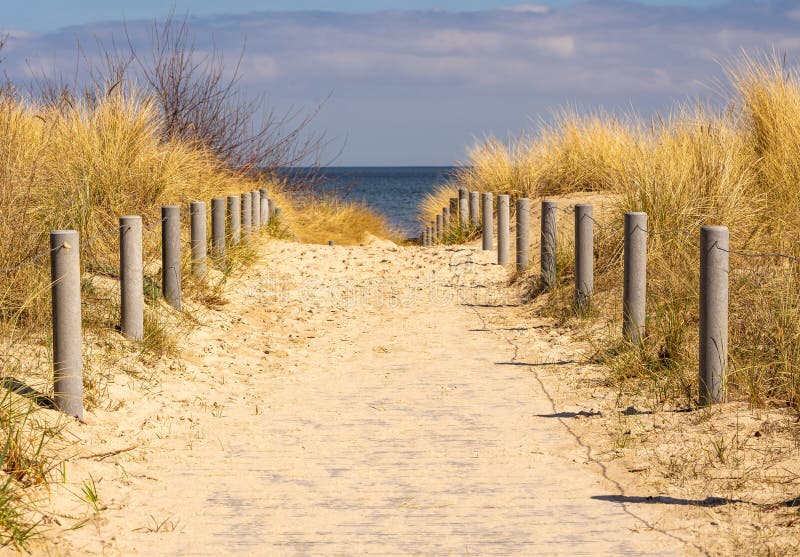 Beach Path on the Beach Baltic Sea 01 Stock Image - Image of travel ...