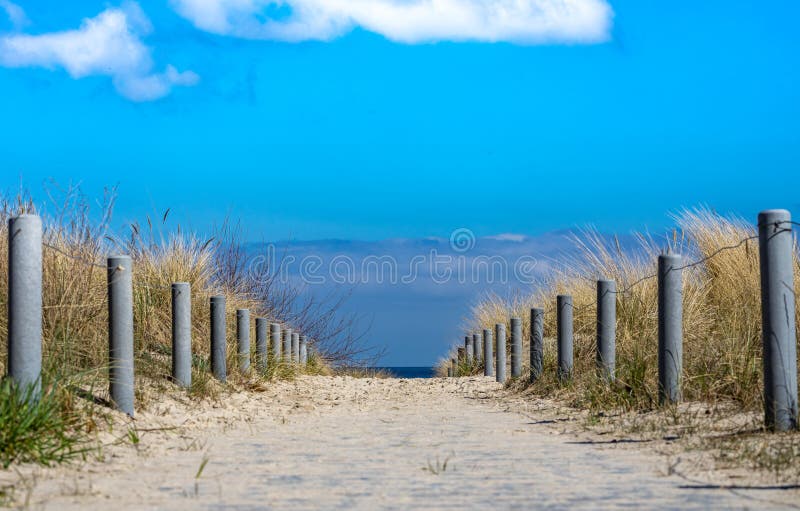 Beach Path on the Beach Baltic Sea Stock Photo - Image of dunes, field ...