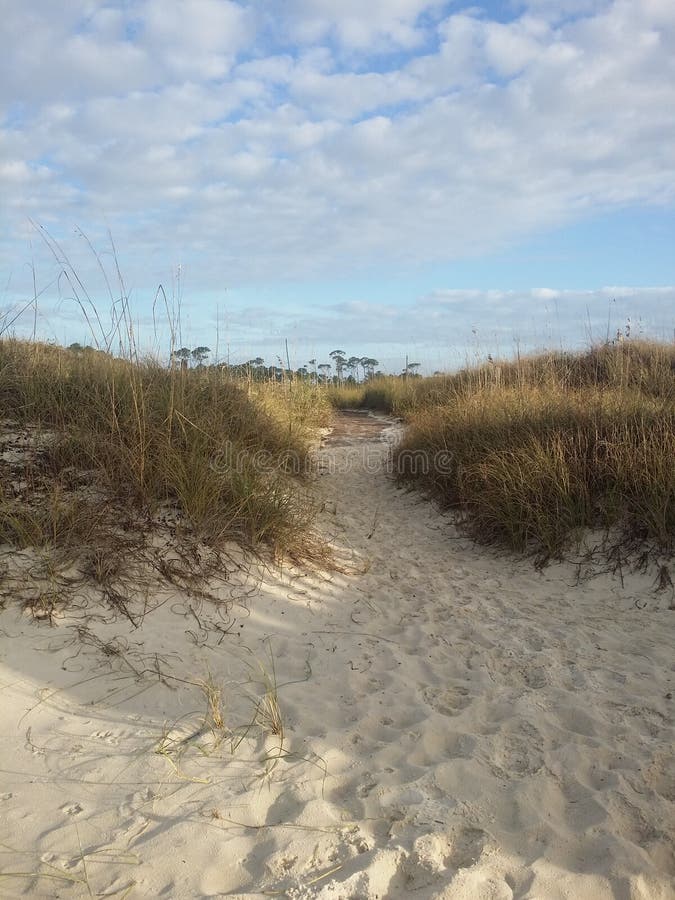 Beach path stock photo. Image of dunes, path, beach, walkway - 88385616