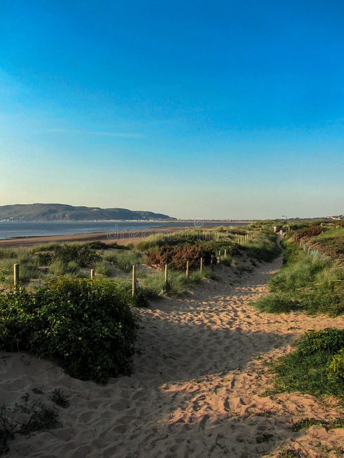 Beach path stock image. Image of dunes, footprints, headland - 50825775
