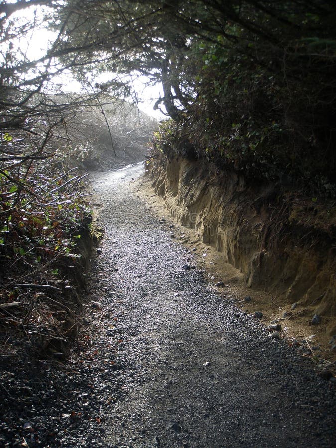 Beach path stock image. Image of pleasant, relaxation - 47187593