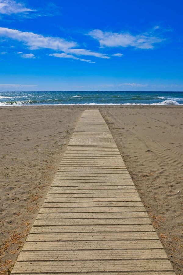 Beach path with tree stock photo. Image of grass, landscape - 38754850