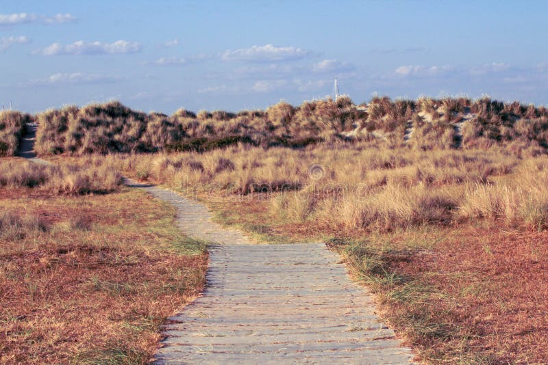 Beach paths stock photo. Image of beach, paths, wittwrings - 120807566