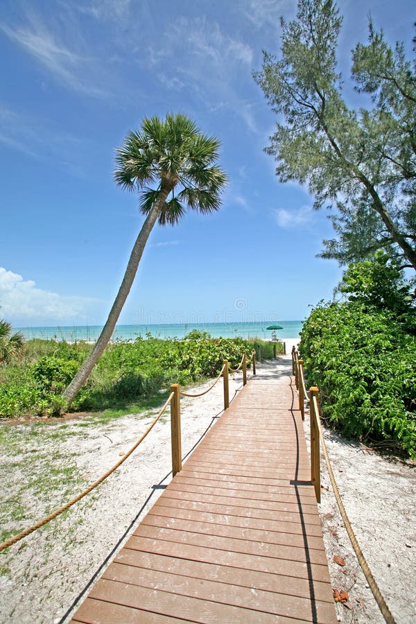 Beach Pathway stock image. Image of tropics, walk, walkway - 5675515