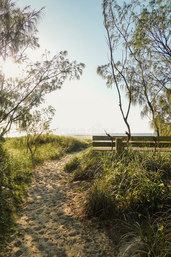 Beach pathway editorial stock image. Image of coastal - 317231804